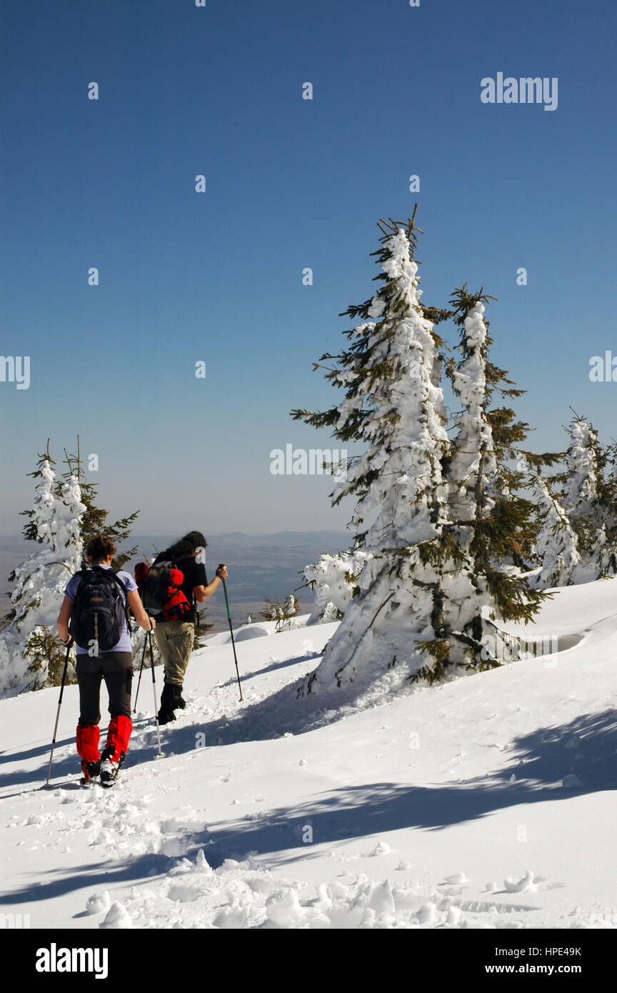 Group of people hiking in beautiful winter mountains Stock Photo - Alamy