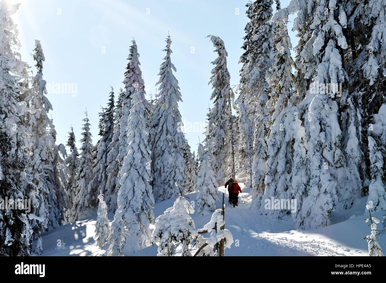 Group of people hiking in beautiful winter mountains Stock Photo - Alamy
