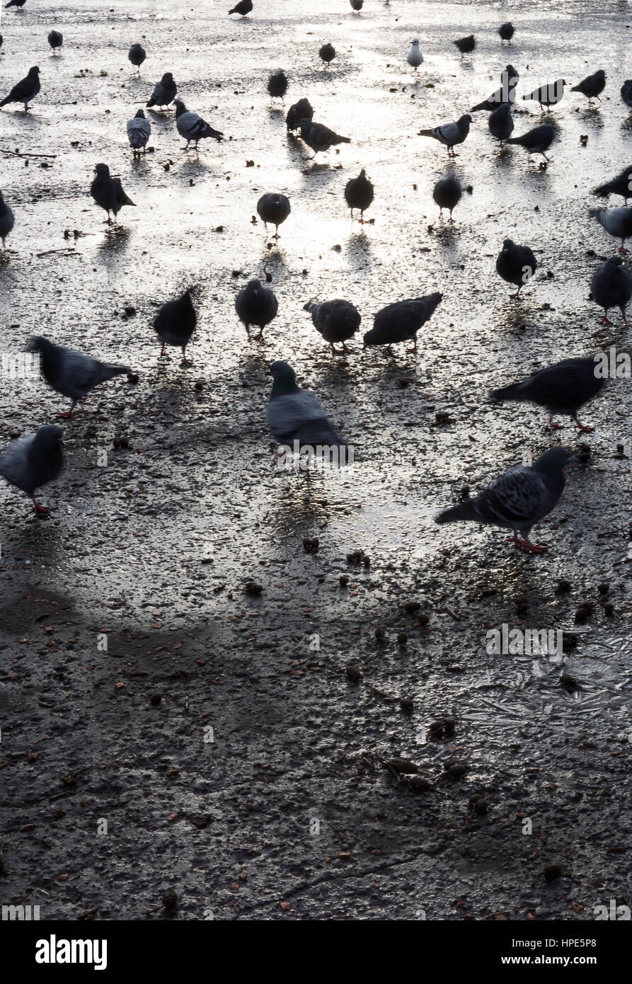 Ic y hi-res stock photography and images - Alamy