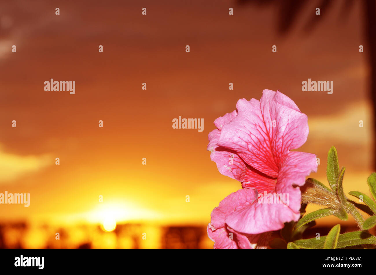 Coin building uae hi-res stock photography and images - Alamy