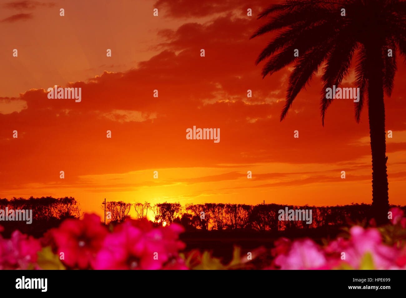 Coin building uae hi-res stock photography and images - Alamy