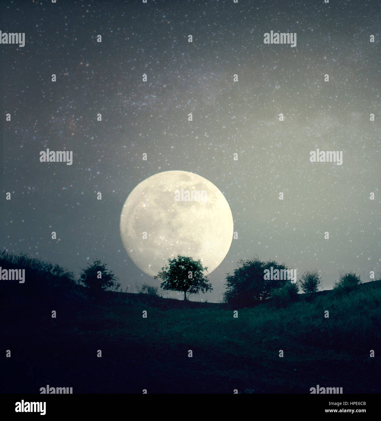 Full moon tree hi-res stock photography and images - Alamy