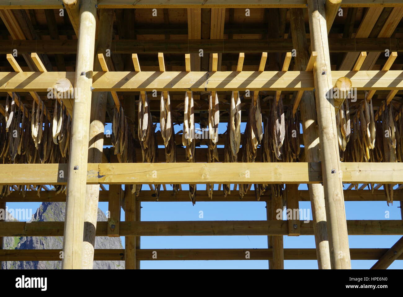 Traditional wooden stockfish hi-res stock photography and images - Alamy