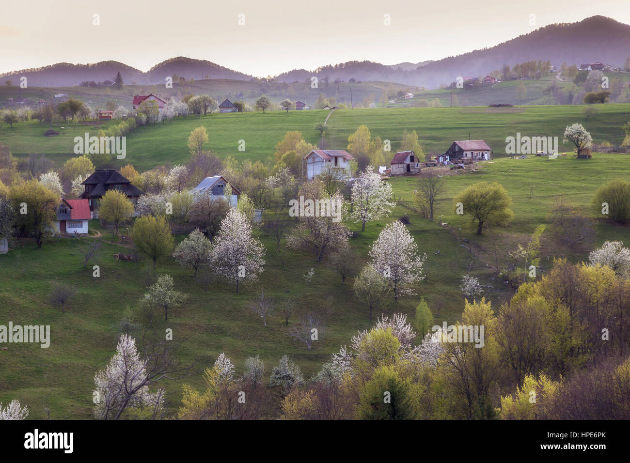 Spring landscape in the Carpathians. Rural view at Moieciu - Bran ...