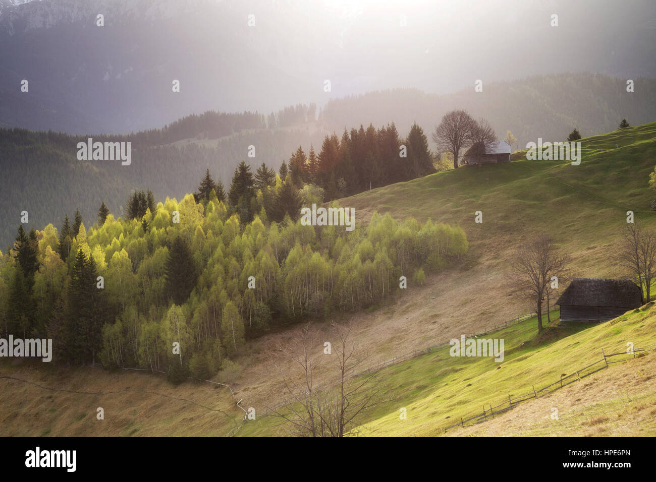 Spring landscape in the Carpathians. Rural view at Moieciu - Bran ...