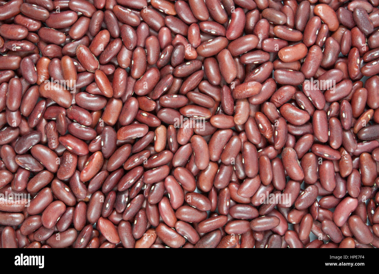 azuki beans red beans background Stock Photo - Alamy