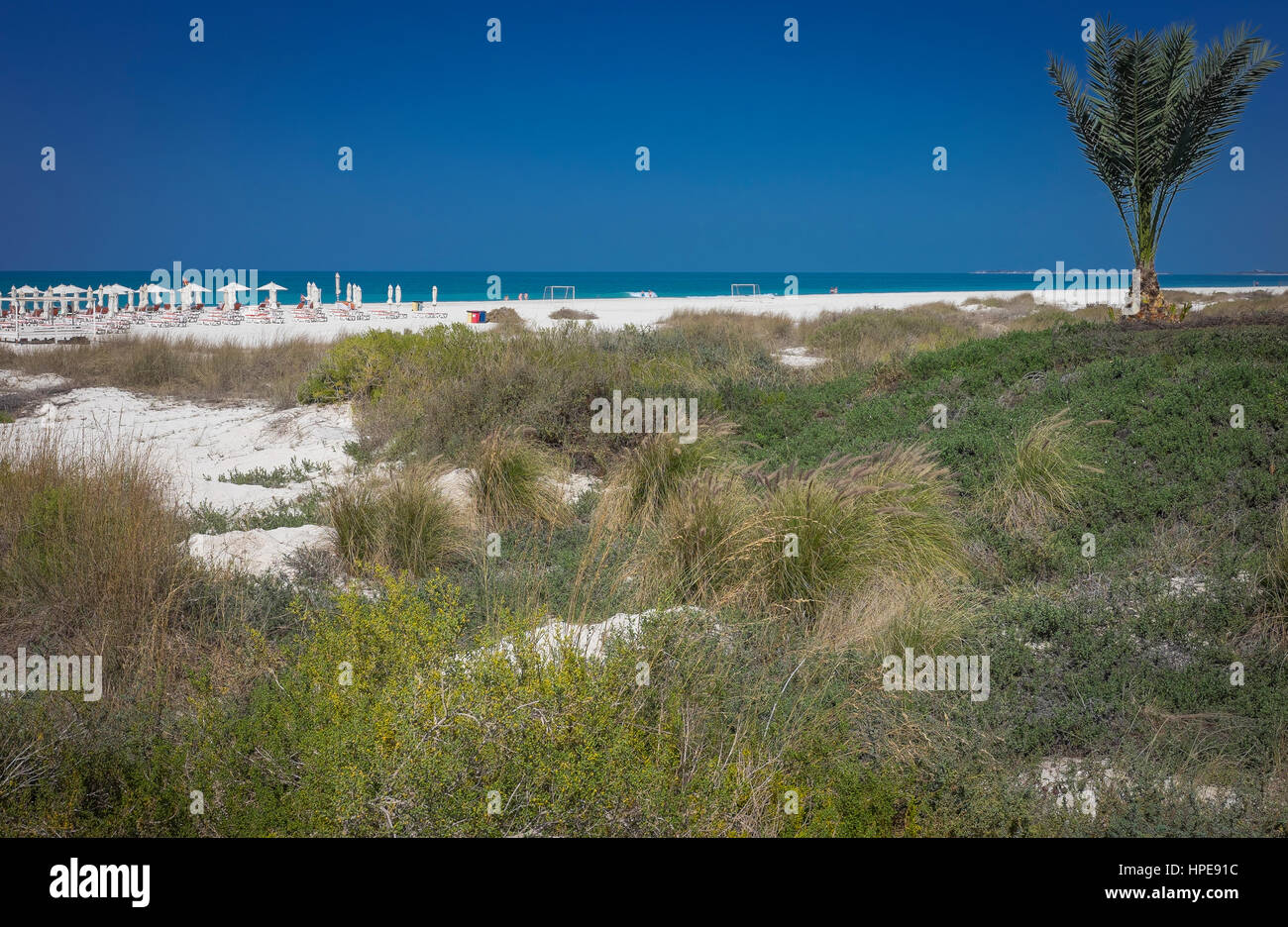 Saadiyat public beach,abu dhabi Stock Photo - Alamy