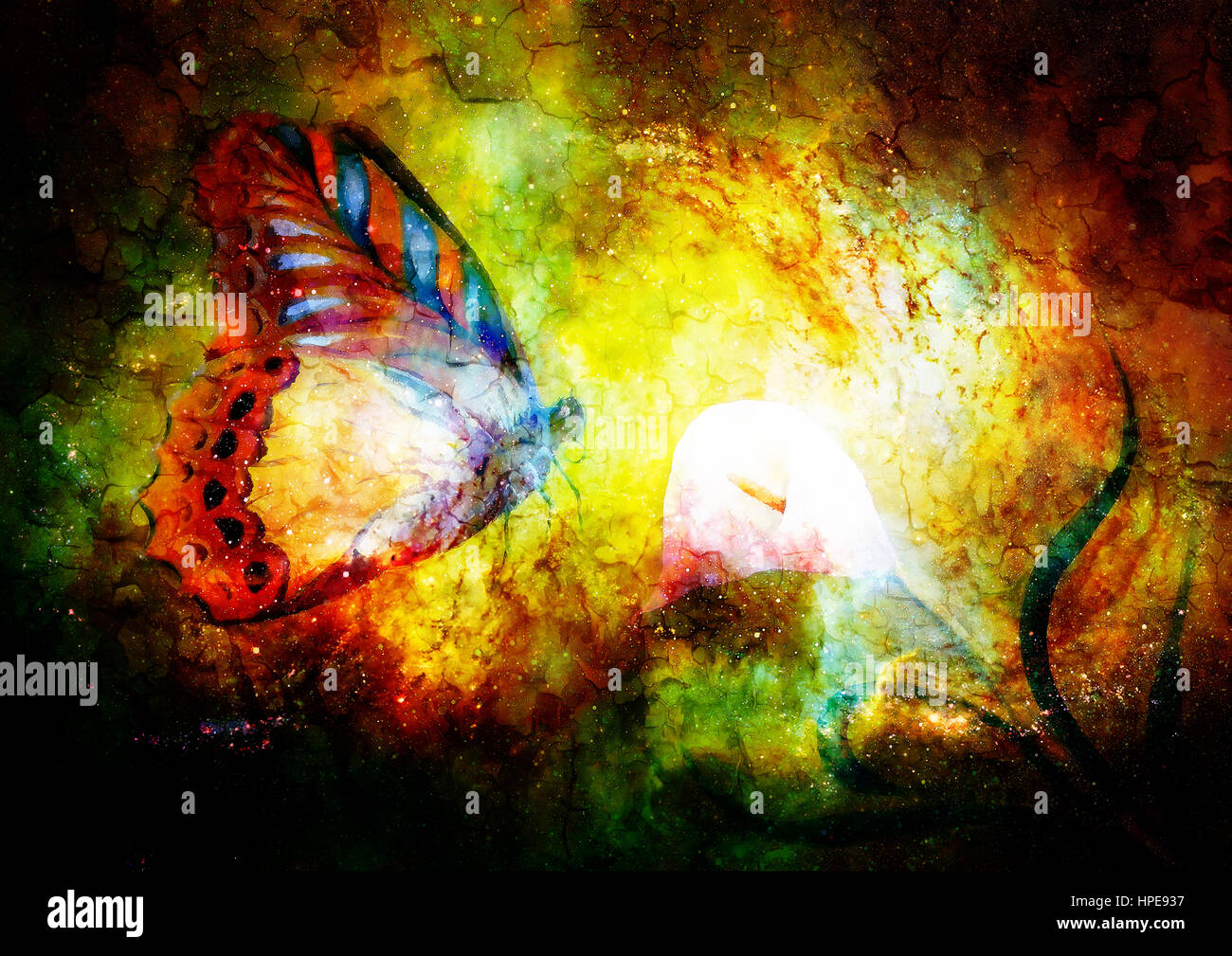 Flying Butterfly Painting