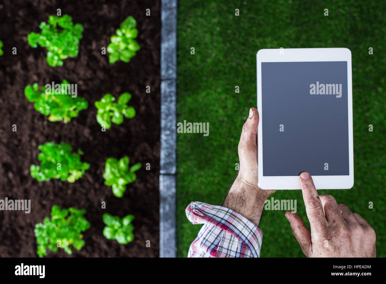 Farmer using an app on a digital touch screen tablet, seedlings and ...