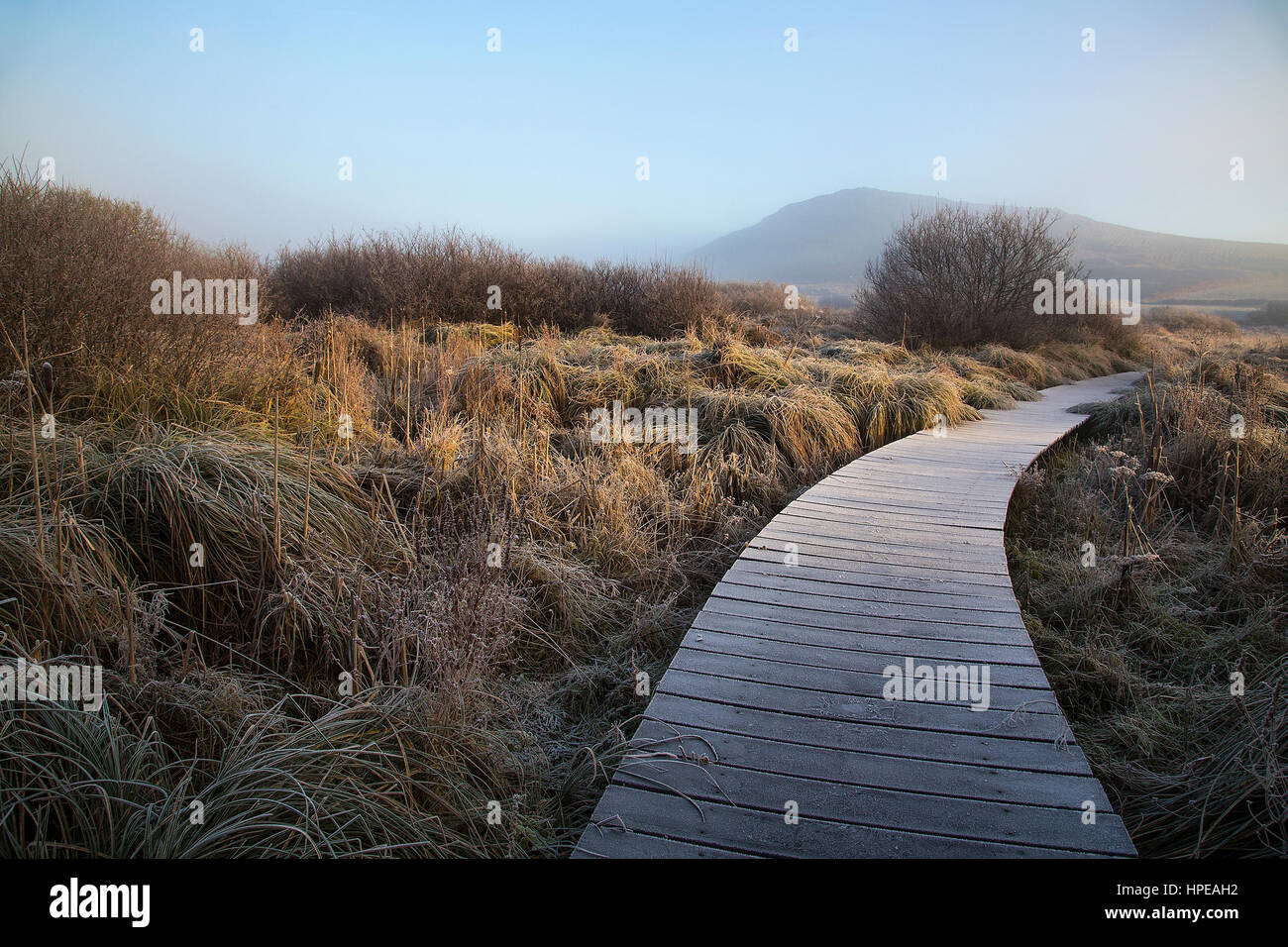 Sunrise on a frosty morning, over Fenor Bog Stock Photo - Alamy