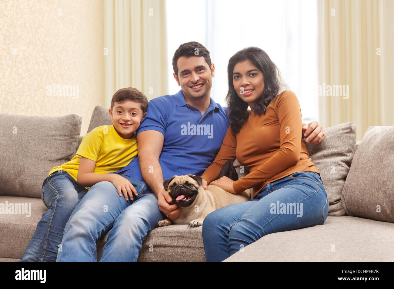 Indian pug dog hi-res stock photography and images - Alamy