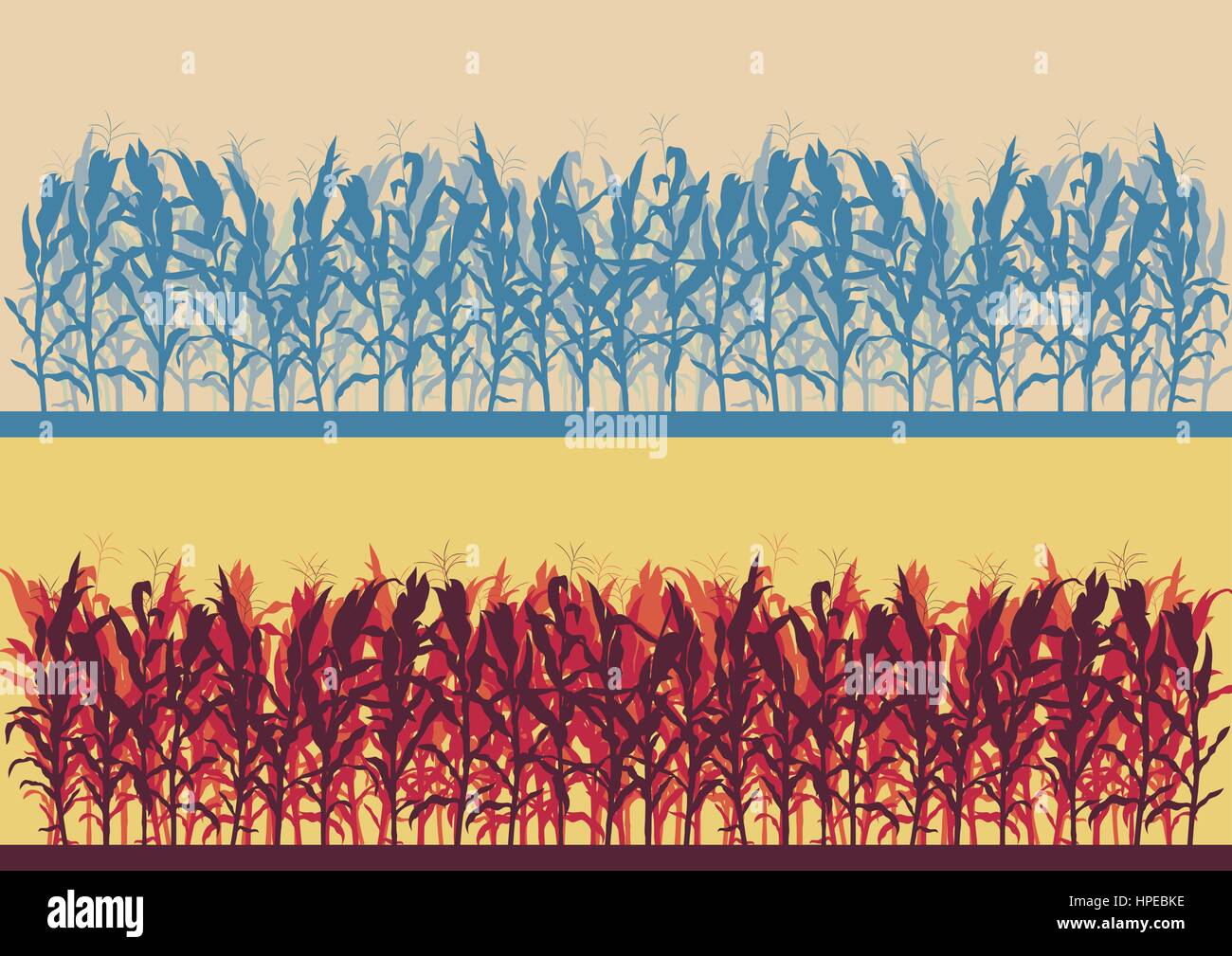 Grain Field At Sunrise Stock Vector Images - Alamy