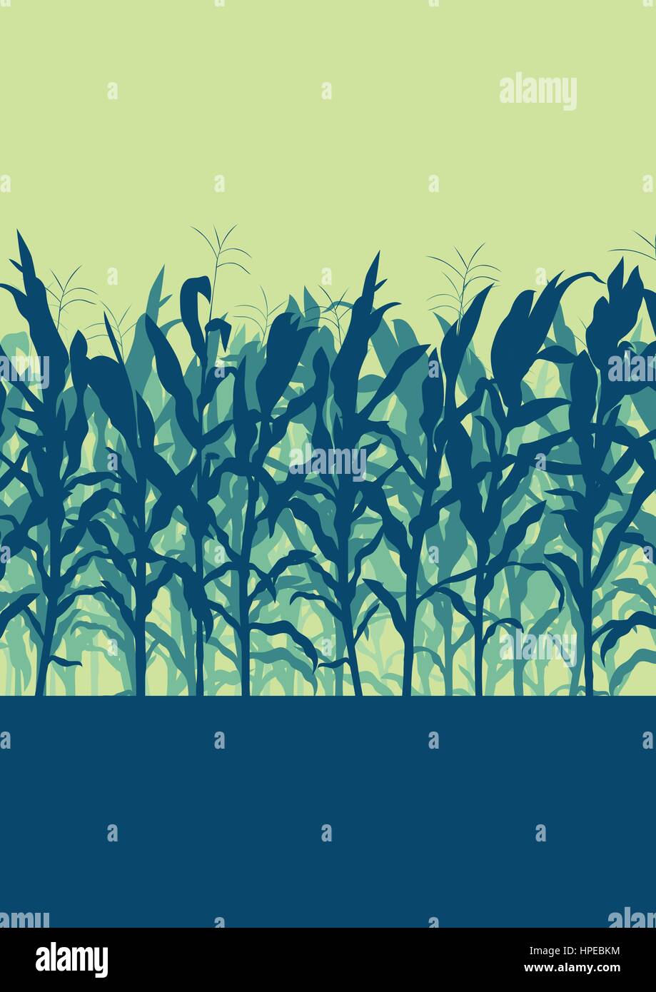 Corn field evening or morning light landscape vector background Stock ...