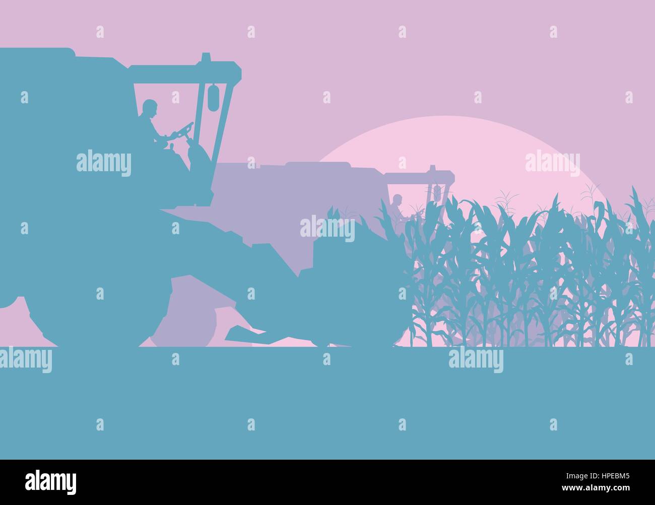 Corn field with harvester evening or morning light landscape vector ...