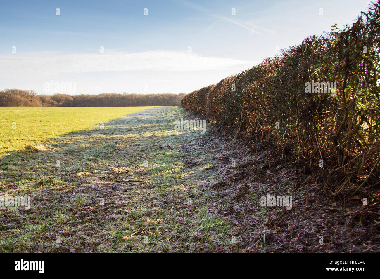 Empty british countryside on a cold winters afternoon Stock Photo - Alamy
