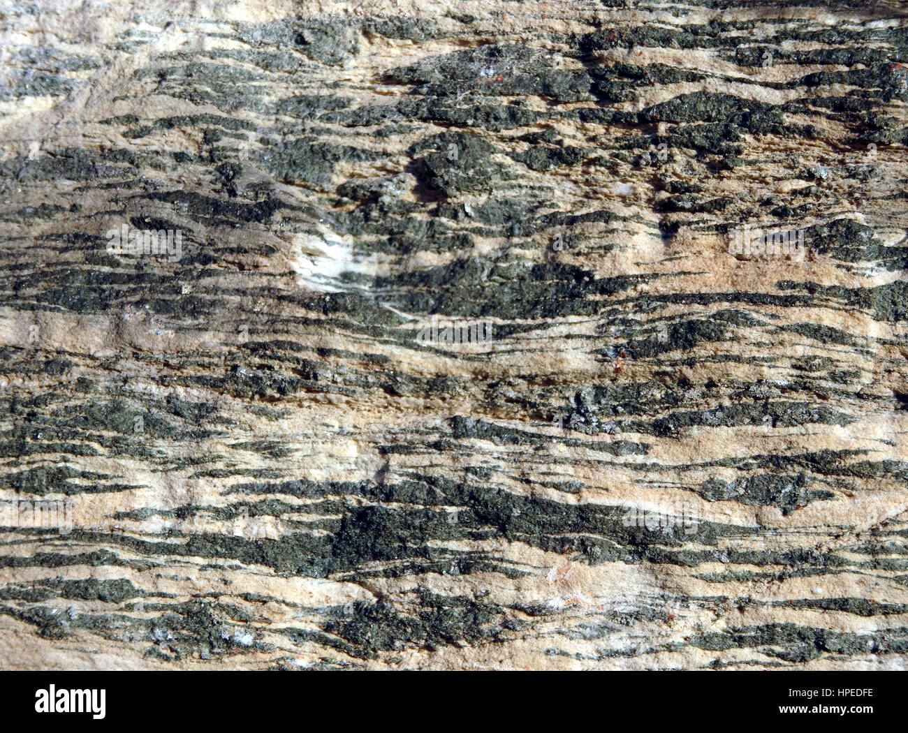 Metamorphic Rocks Layers