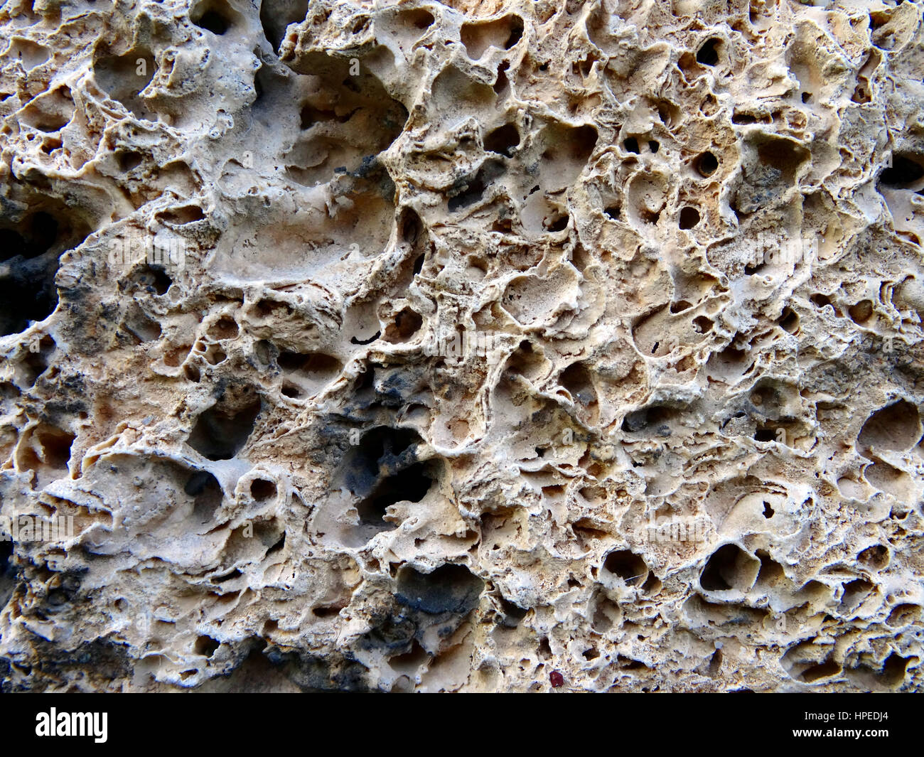 Porosity High Resolution Stock Photography and Images - Alamy