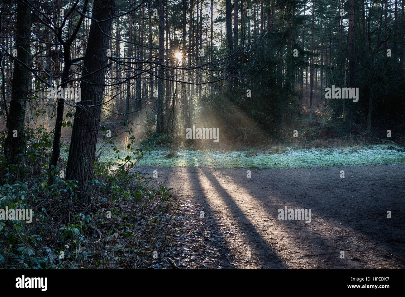 Woman looking out to sea Stock Photo - Alamy