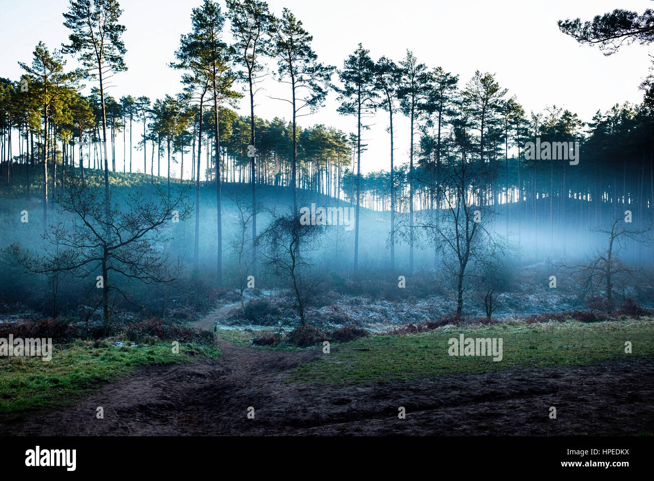 Woman looking out to sea Stock Photo - Alamy