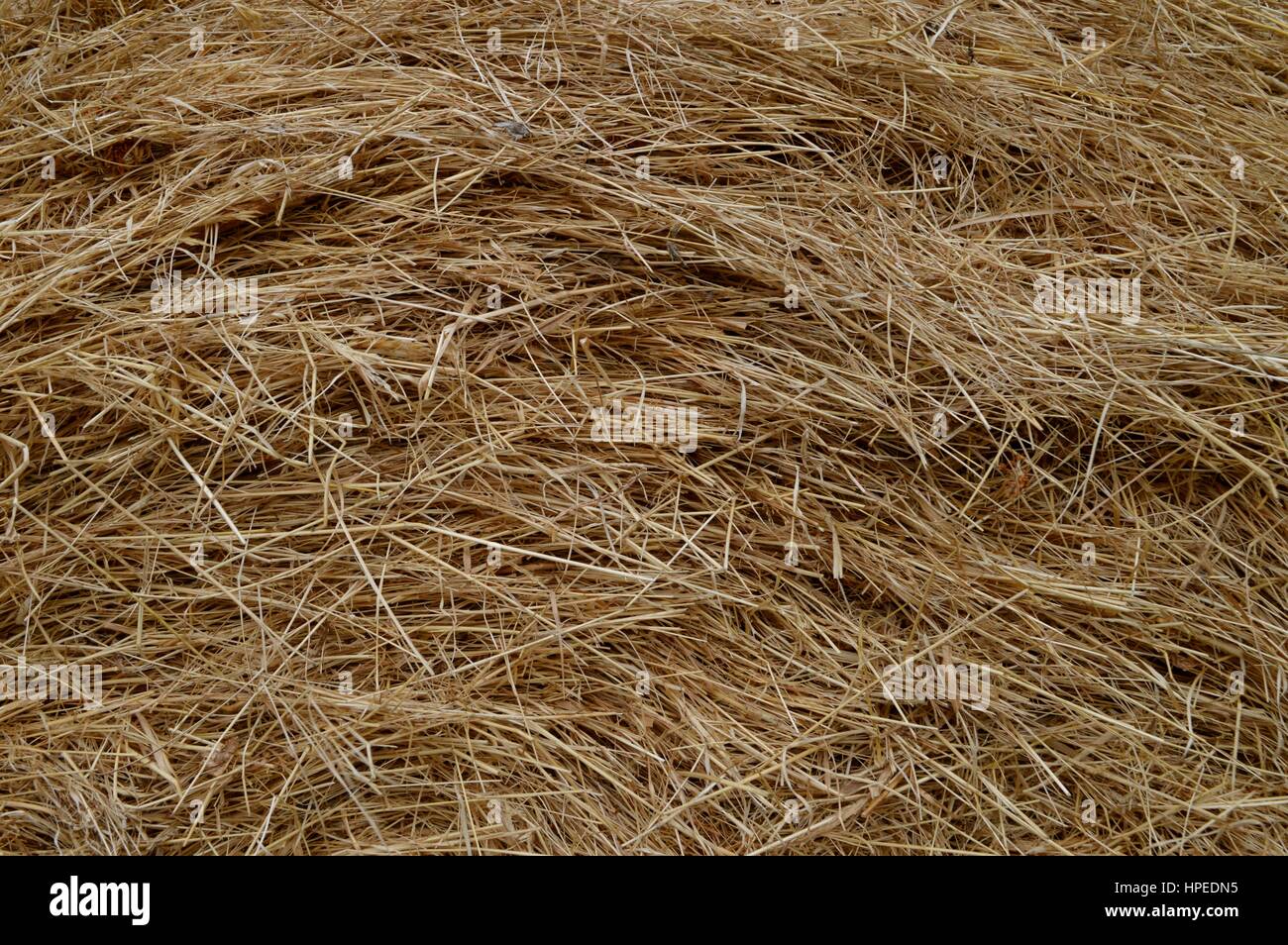Bale yard hi-res stock photography and images - Alamy