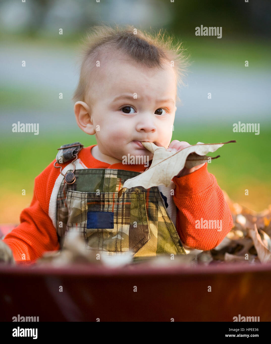 6 month old boy hi-res stock photography and images - Alamy