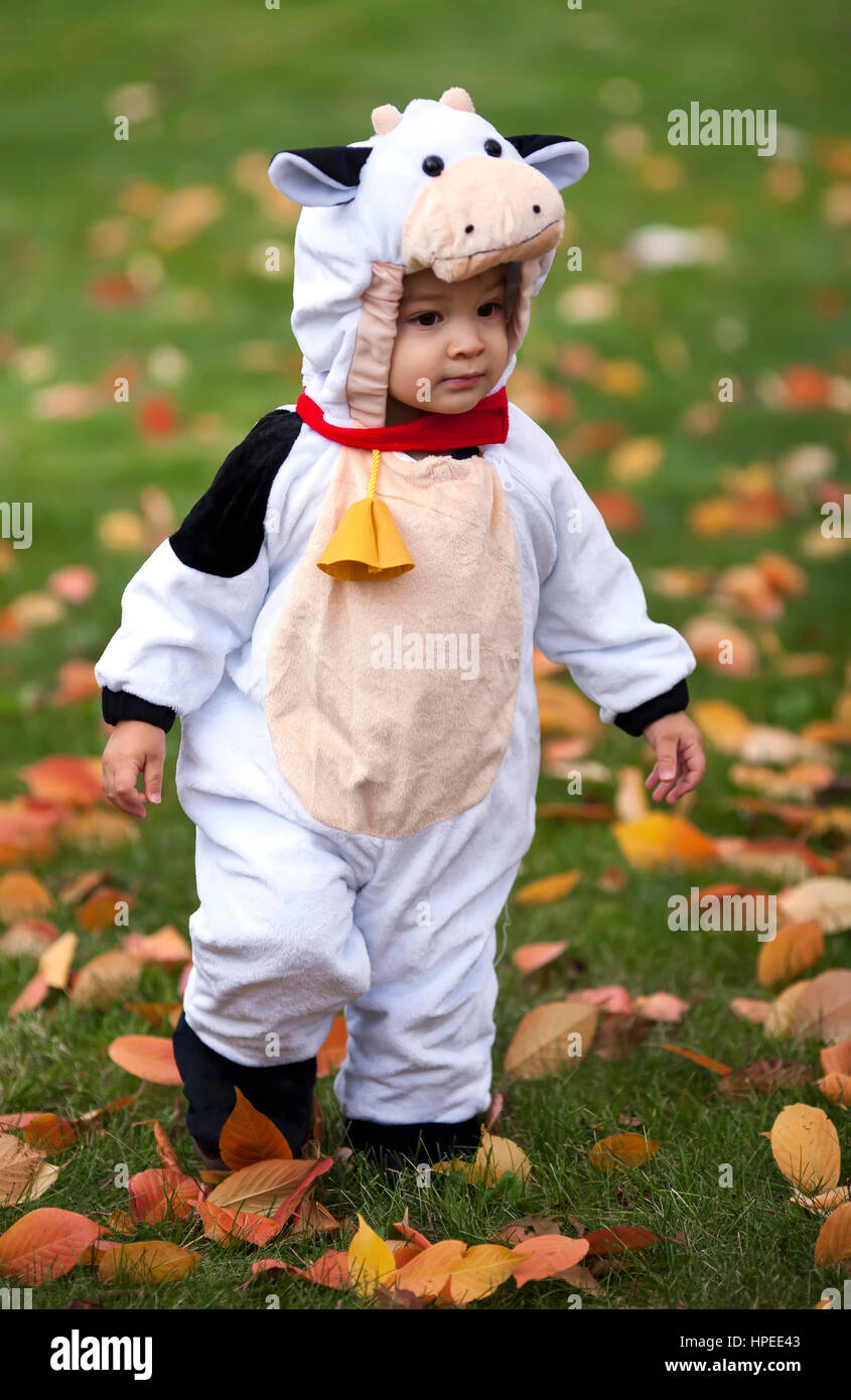 Cute toddler in a cow costume for Halloween Stock Photo - Alamy