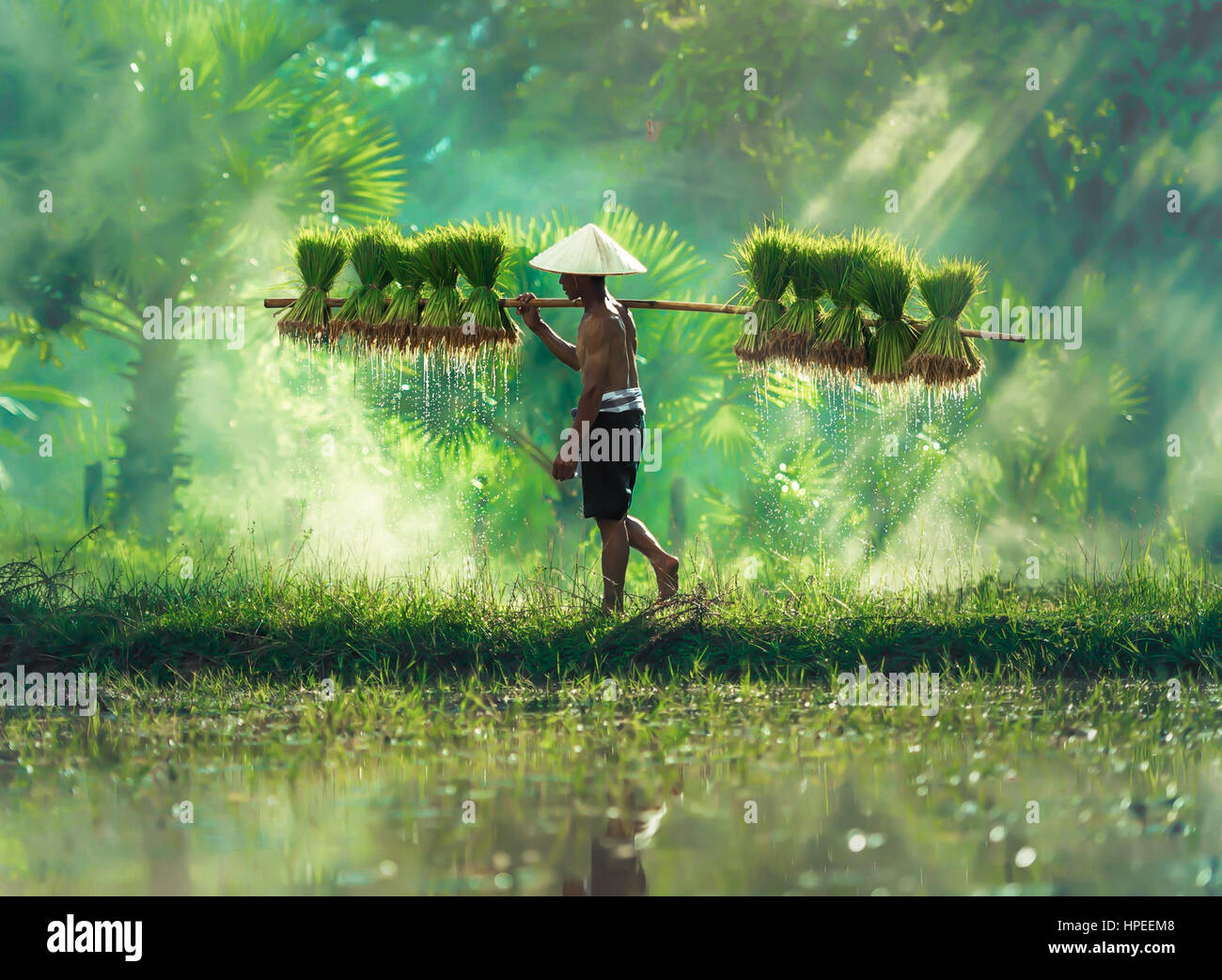 Rural asia hi-res stock photography and images - Alamy
