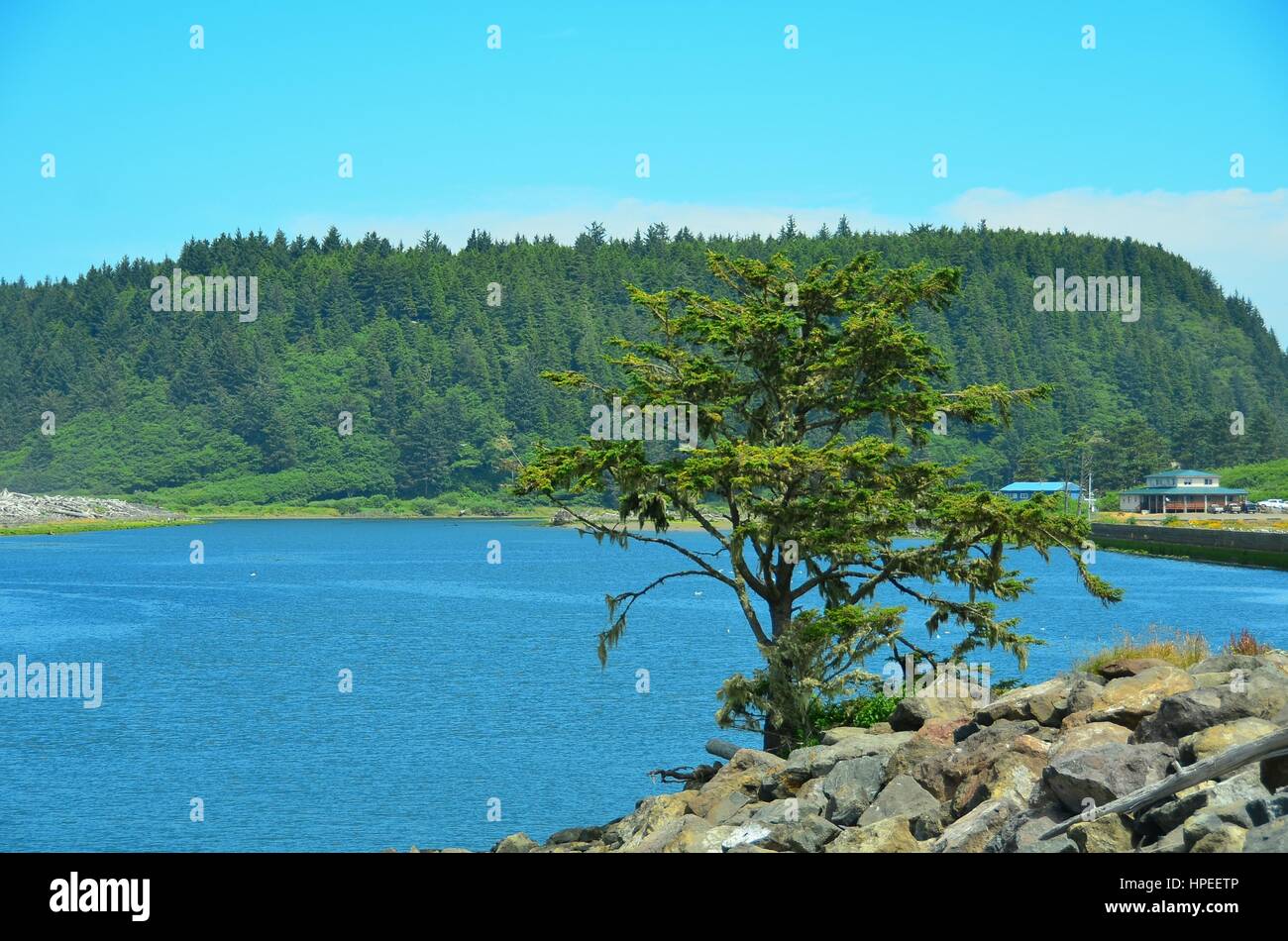 La Push Beach, Washington State Coastline, USA, adjacent to Olympic ...