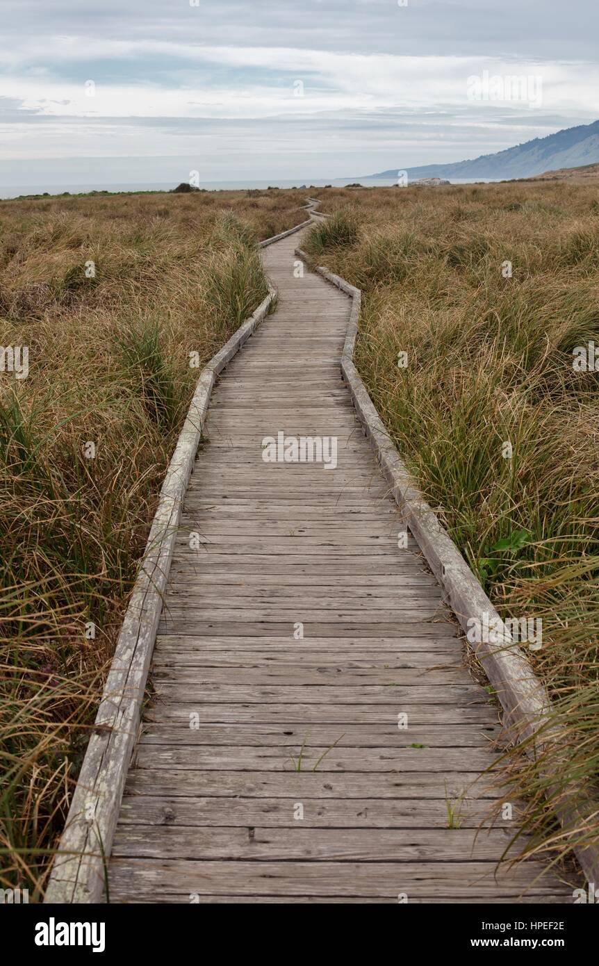 Kortum High Resolution Stock Photography and Images - Alamy