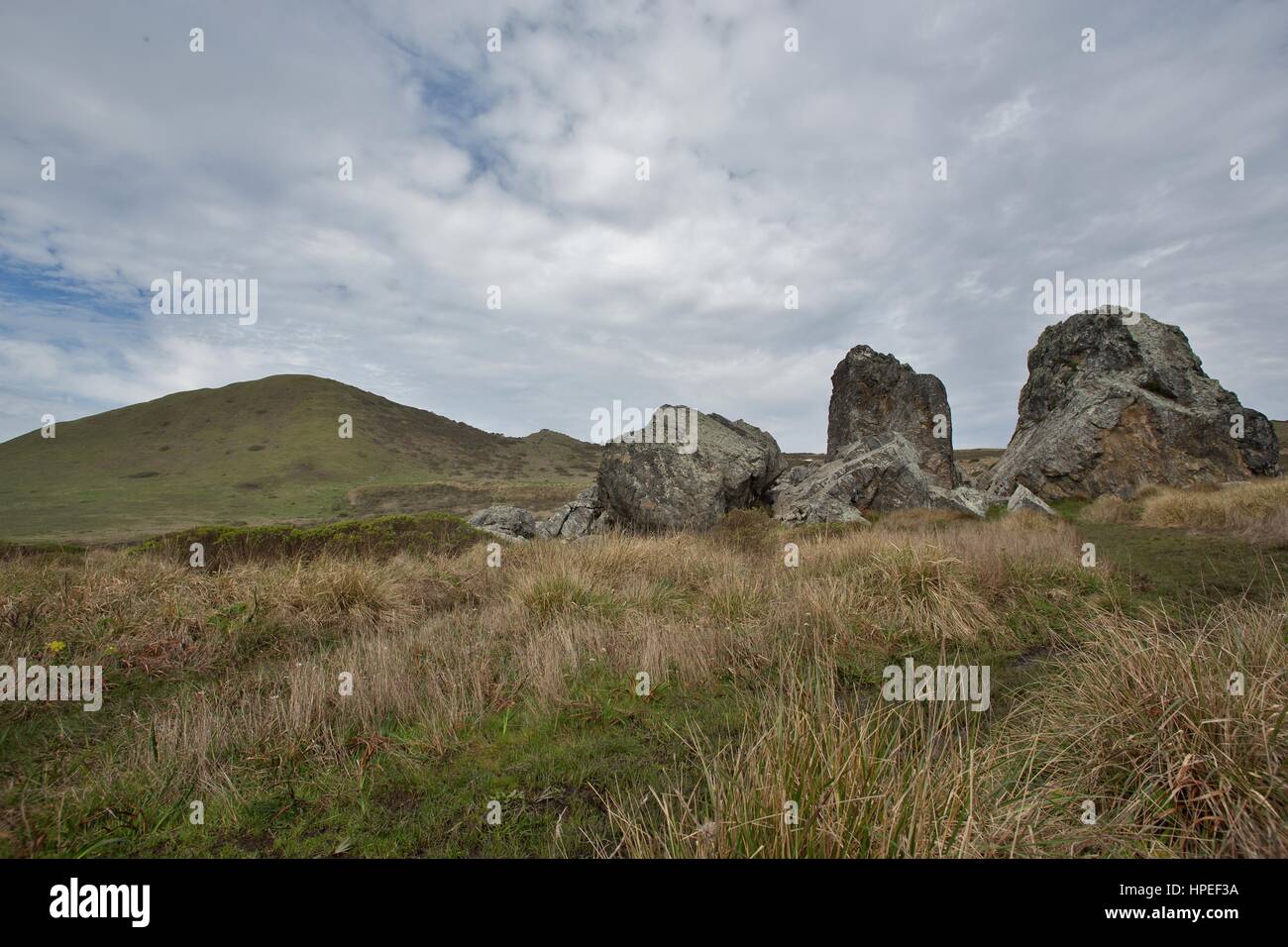 Rocks that are believed to have been used as scratching rocks by ...