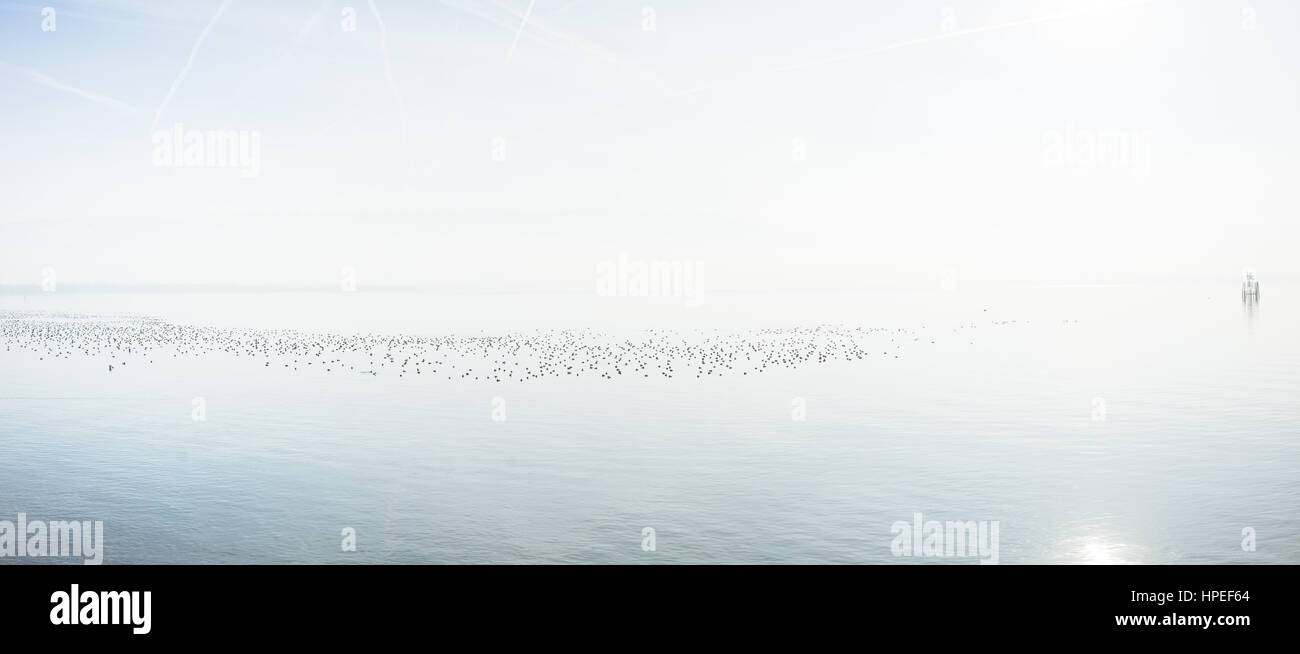 Lake of constanze hi-res stock photography and images - Alamy