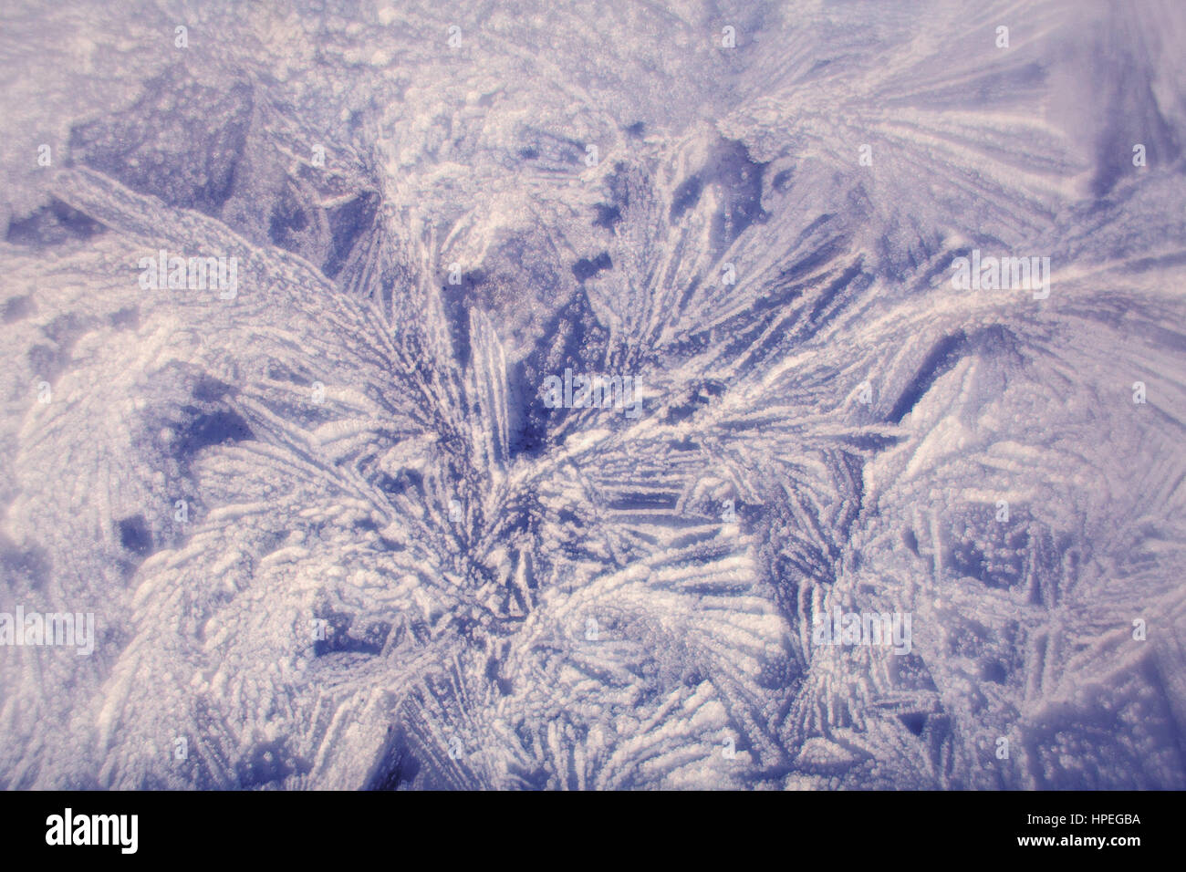 Ice patterns on winter glass of frozen flowers with soft focus Stock ...