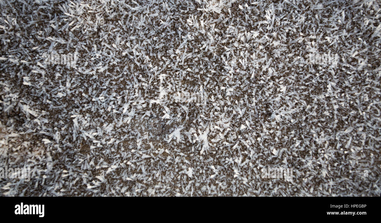 Fern ice pattern hi-res stock photography and images - Alamy