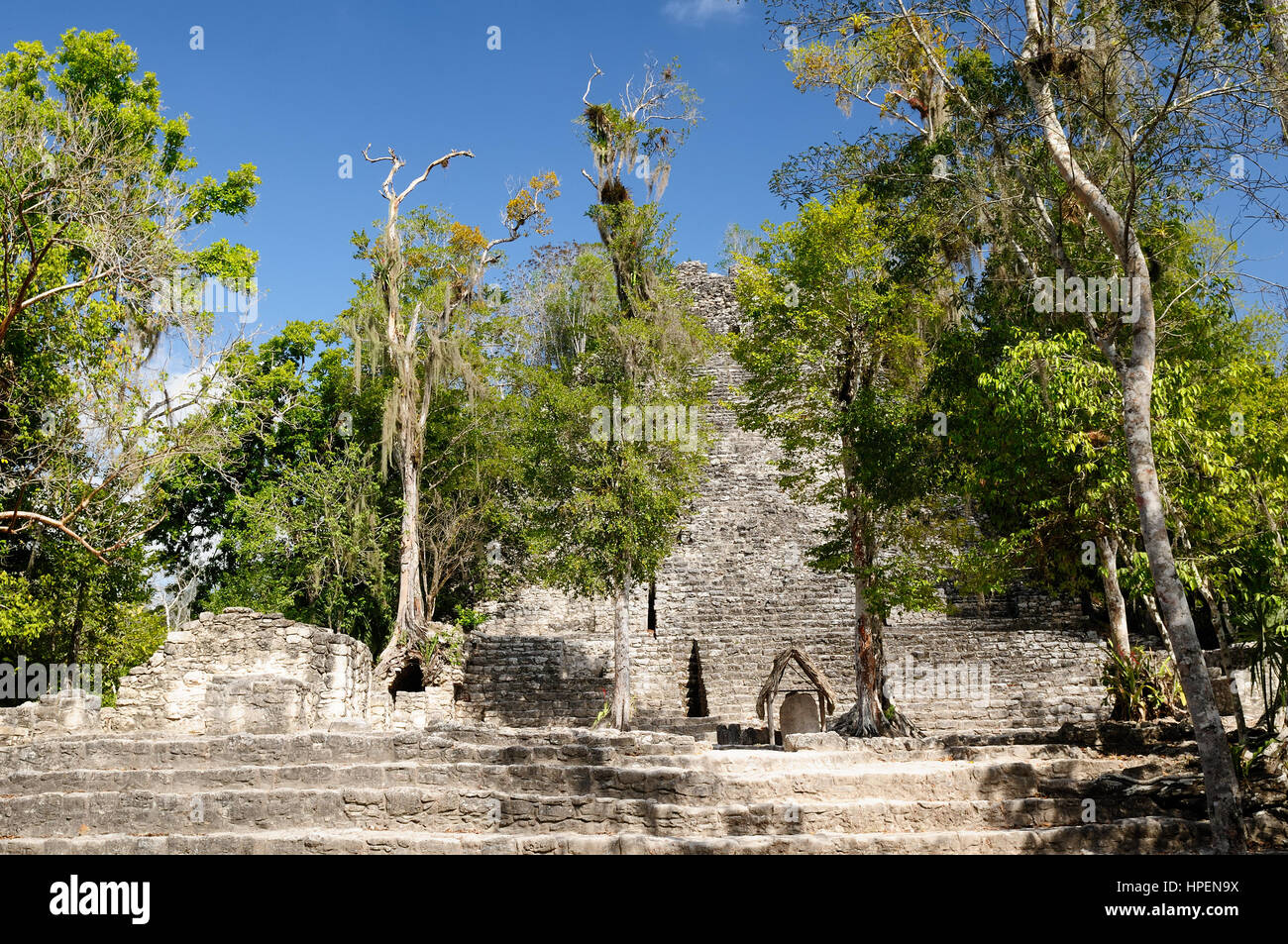 Coba - Pre-Columbian city of Mayans on the Jukatan Peninsula Stock ...