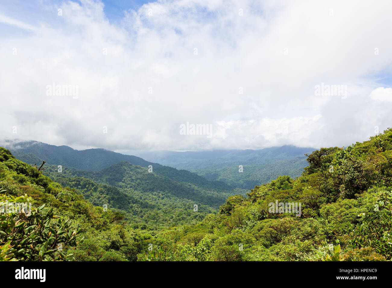 Rainforest landscape view in Monteverde Costa Rica Stock Photo - Alamy