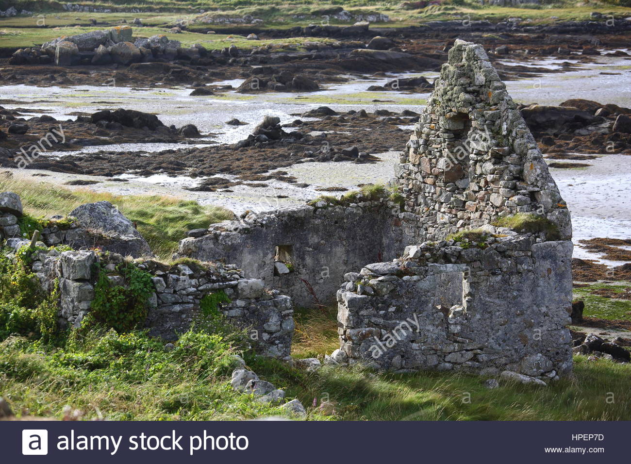 Irish landscape of stone and water at the seashore in Connemara ...