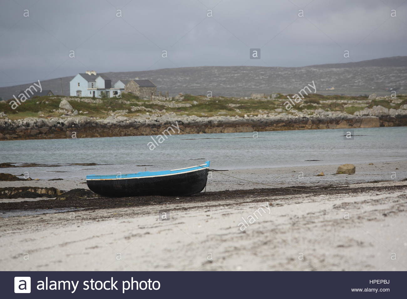 A blue-painted currach boat lies tied up on the shore in connemara, Co ...