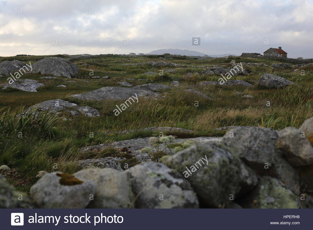 Bleak irish countryside landscape hi-res stock photography and images ...
