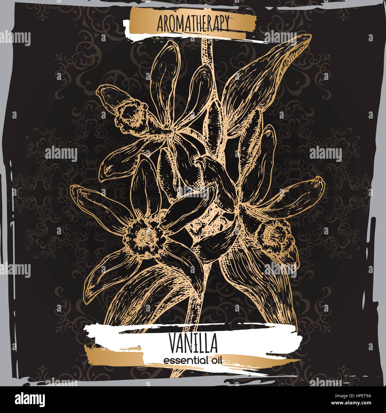 Vanilla vector hand drawn sketch on black lace background Stock Vector ...