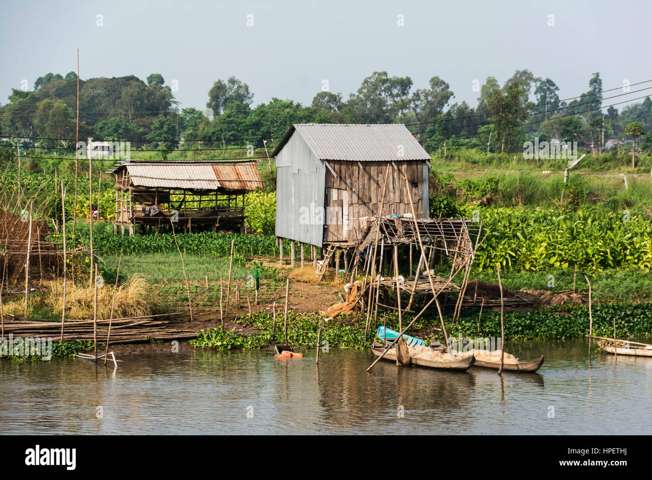 Vietnam, Living in the Mekong Delta, stilt houses Stock Photo - Alamy Vietnam, Living in the Mekong Delta, stilt houses Stock Photo - Alamy