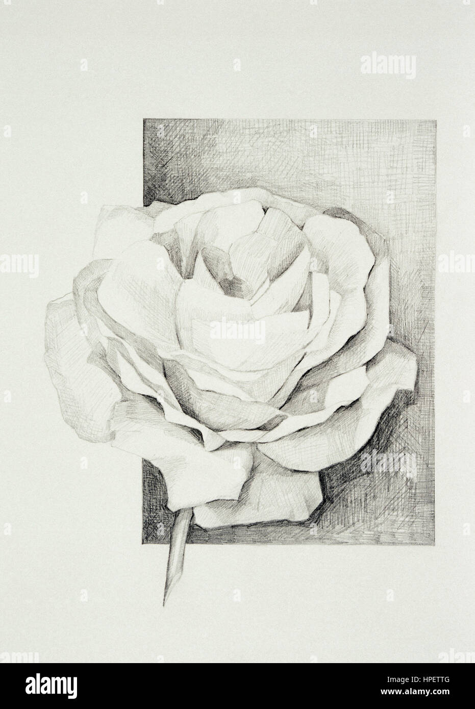 Pencil drawing by Regine Martin, Rose, suitable for a condolence card ...