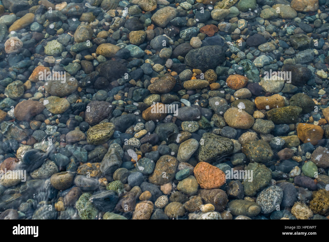 A view of rocks beneath saltwater in the shallows Stock Photo - Alamy