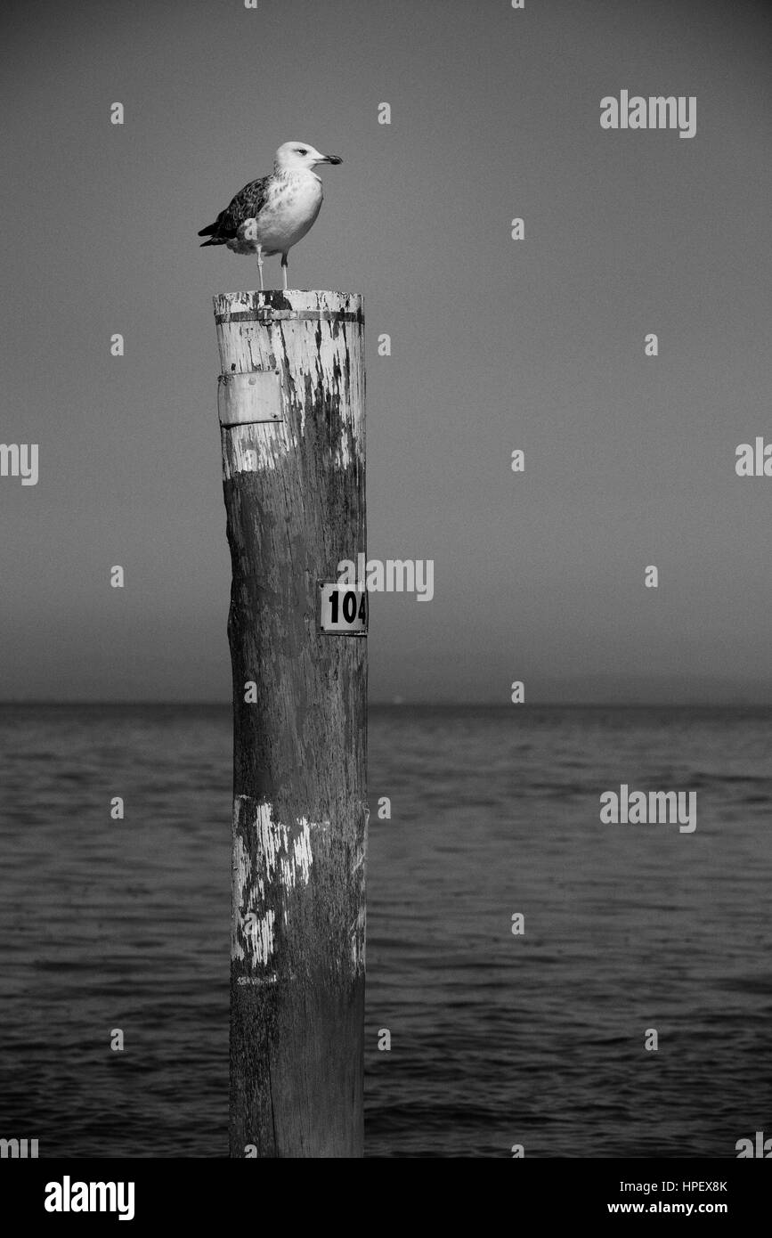 Number 104 hi-res stock photography and images - Alamy