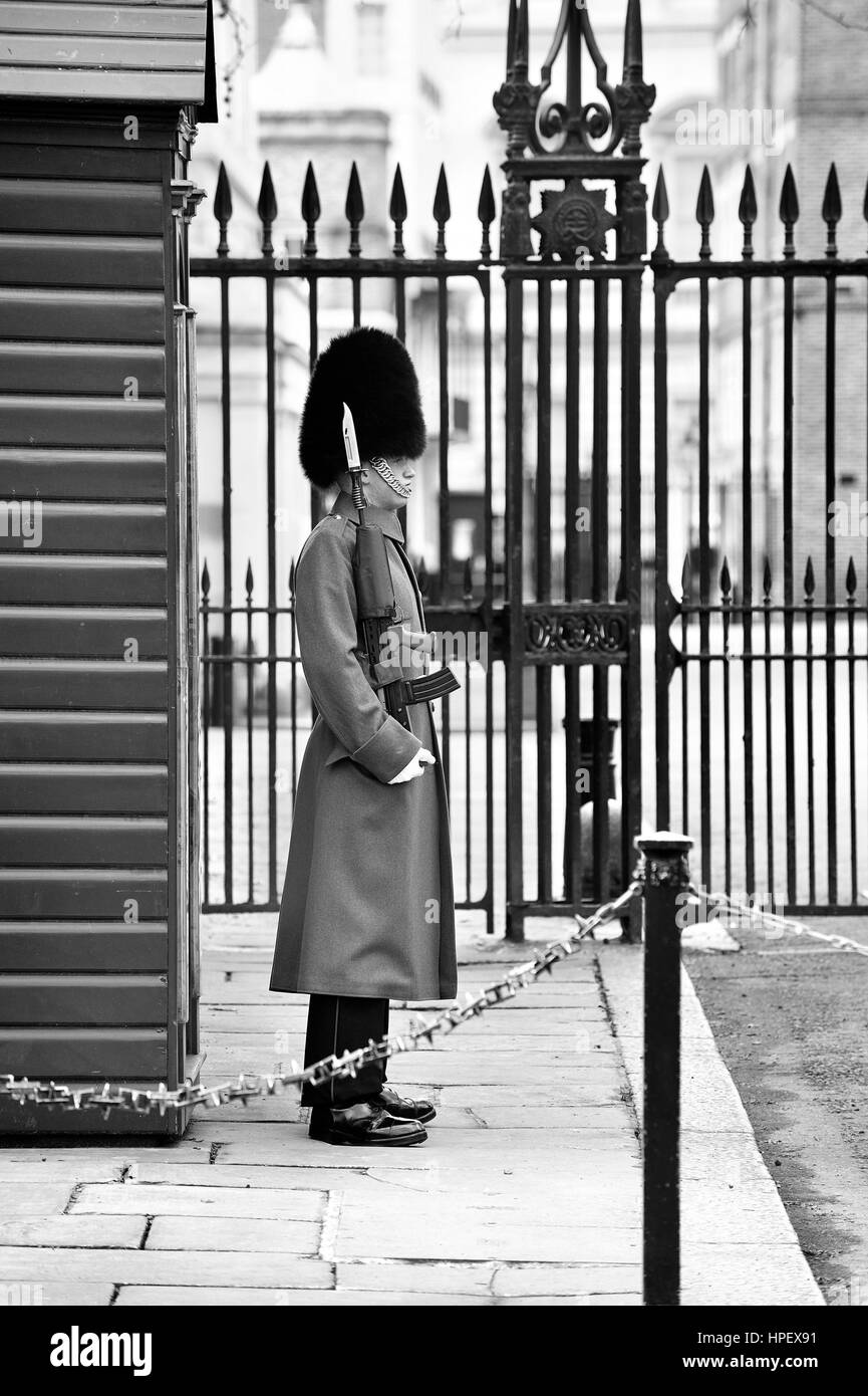 Guardsman of the Grenadier Guards with rifle and bearskin in London ...