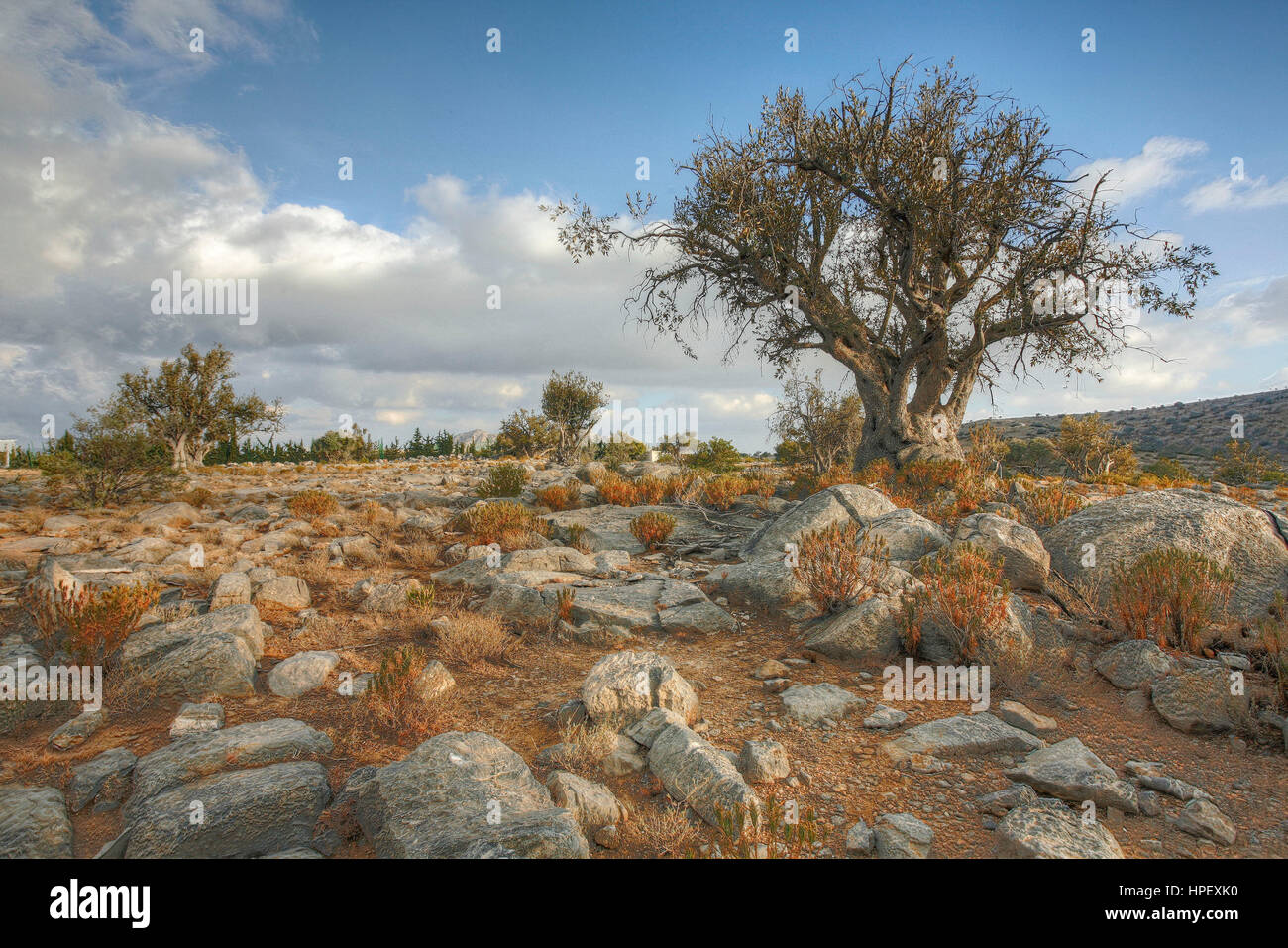 Arab mountain desert, Al Jabal al Akhdar, Oman Stock Photo - Alamy