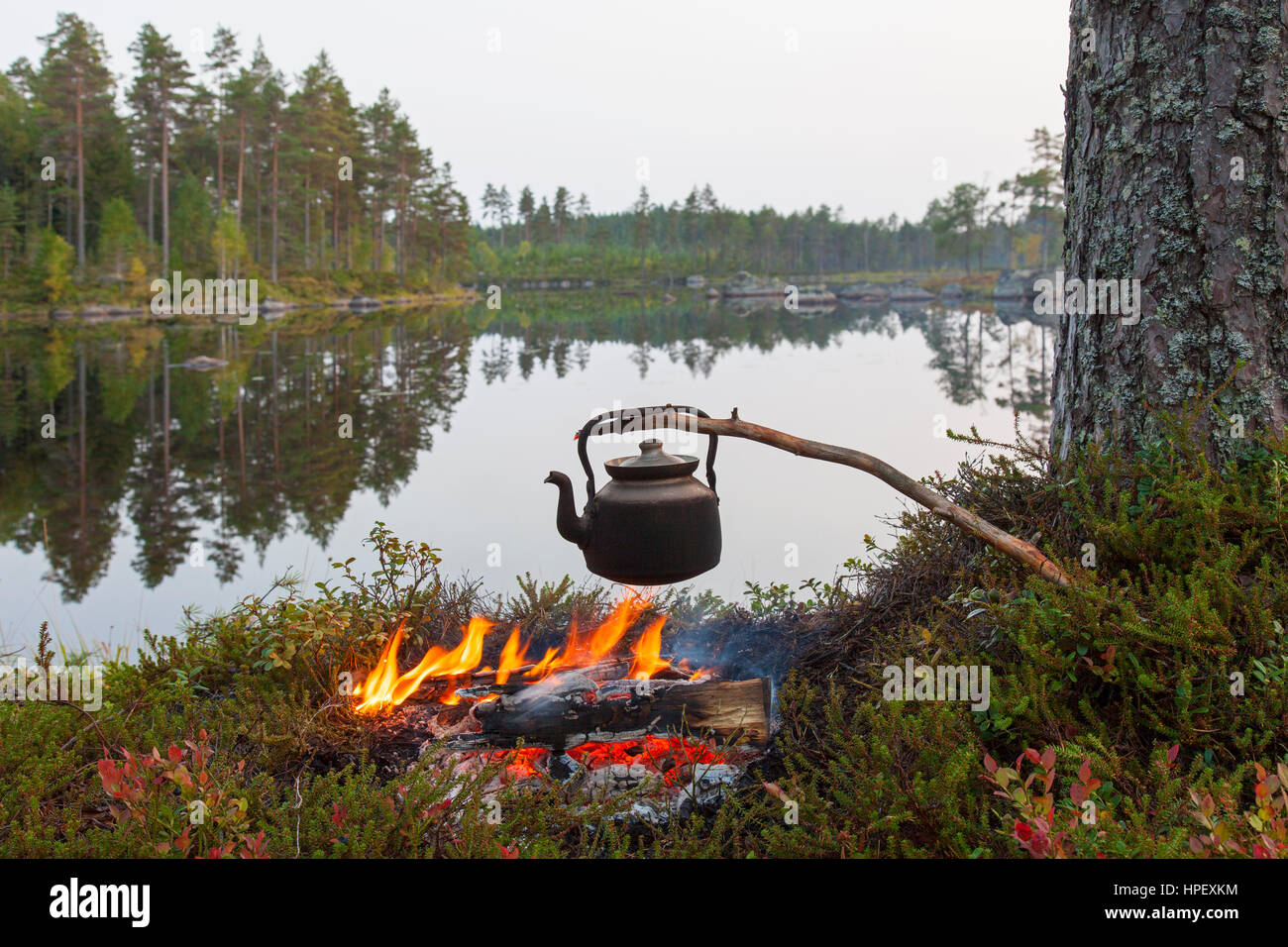 Blackened tin kettle boiling water over flames from campfire during ...