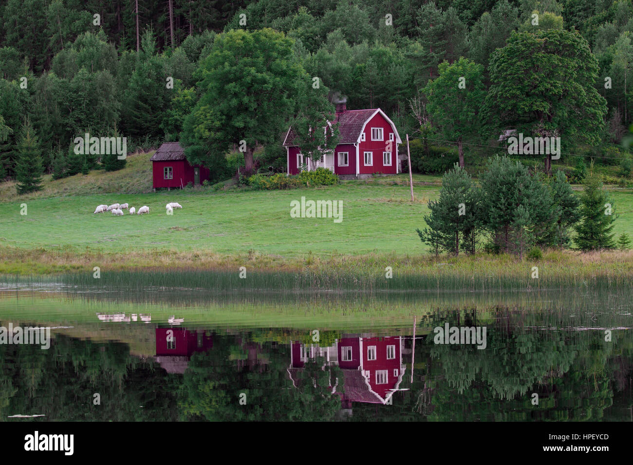 Red wooden cabin along lake in summer at Värmland / Vaermland, Sweden ...