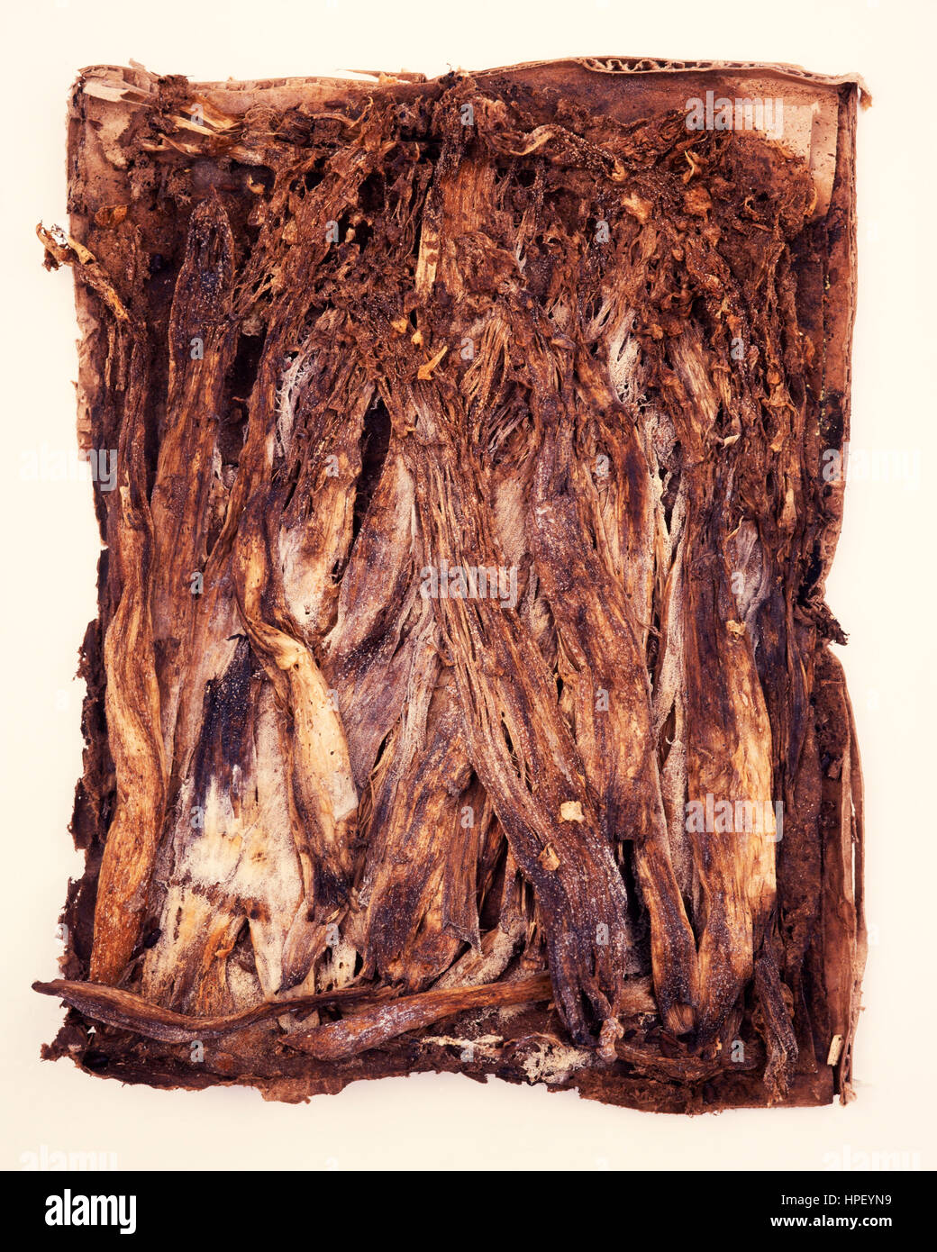 Process Overlays High Resolution Stock Photography and Images - Alamy