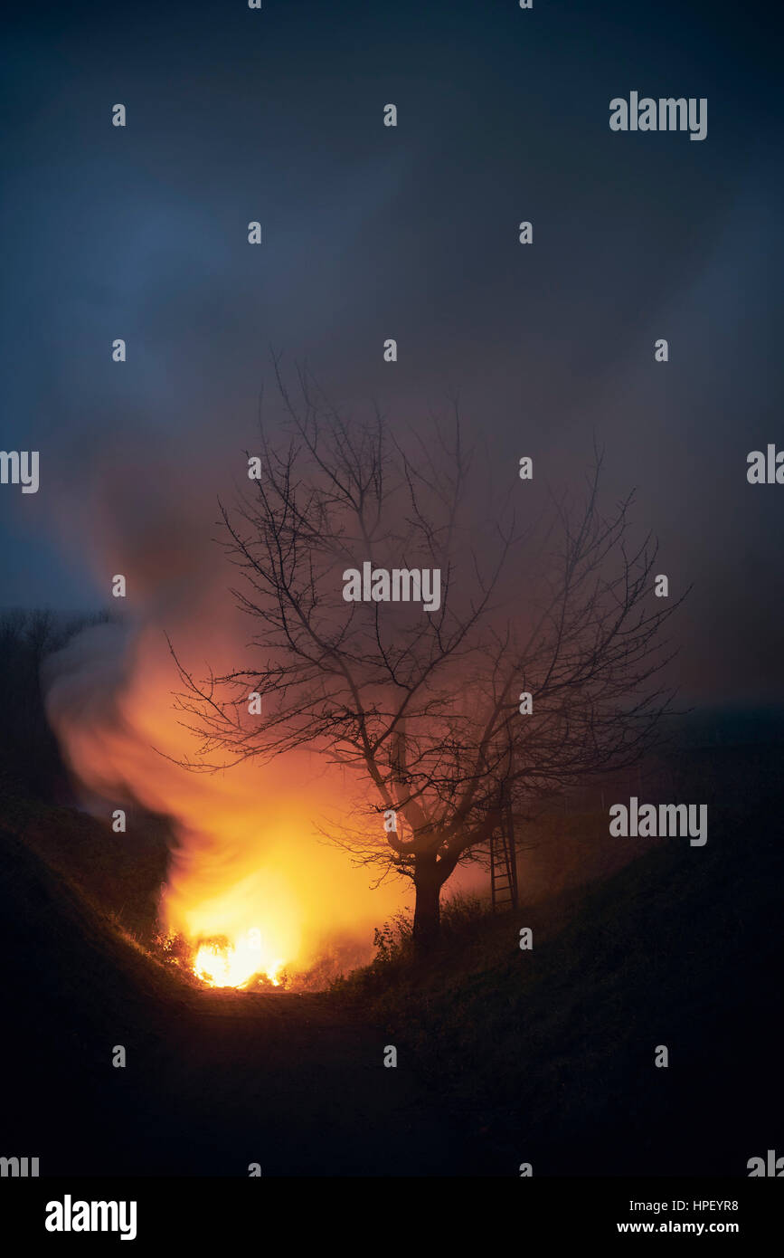 Tree light by firelight hi-res stock photography and images - Alamy