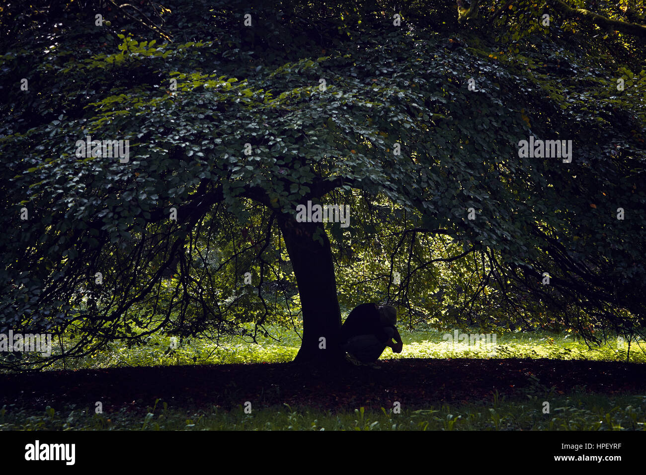 In under shade shades hi-res stock photography and images - Alamy